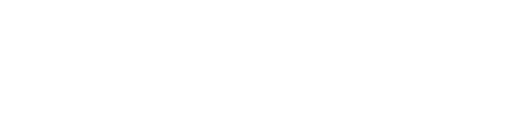 ABOUT THE COMPANY - The 58 Project